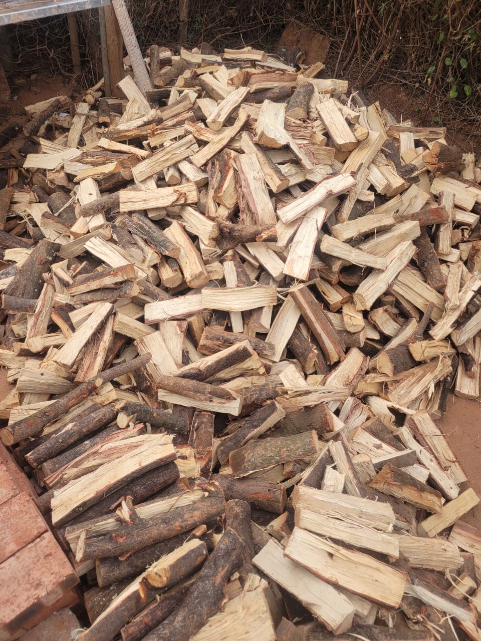 Doring-Hout in Dysselsdorp